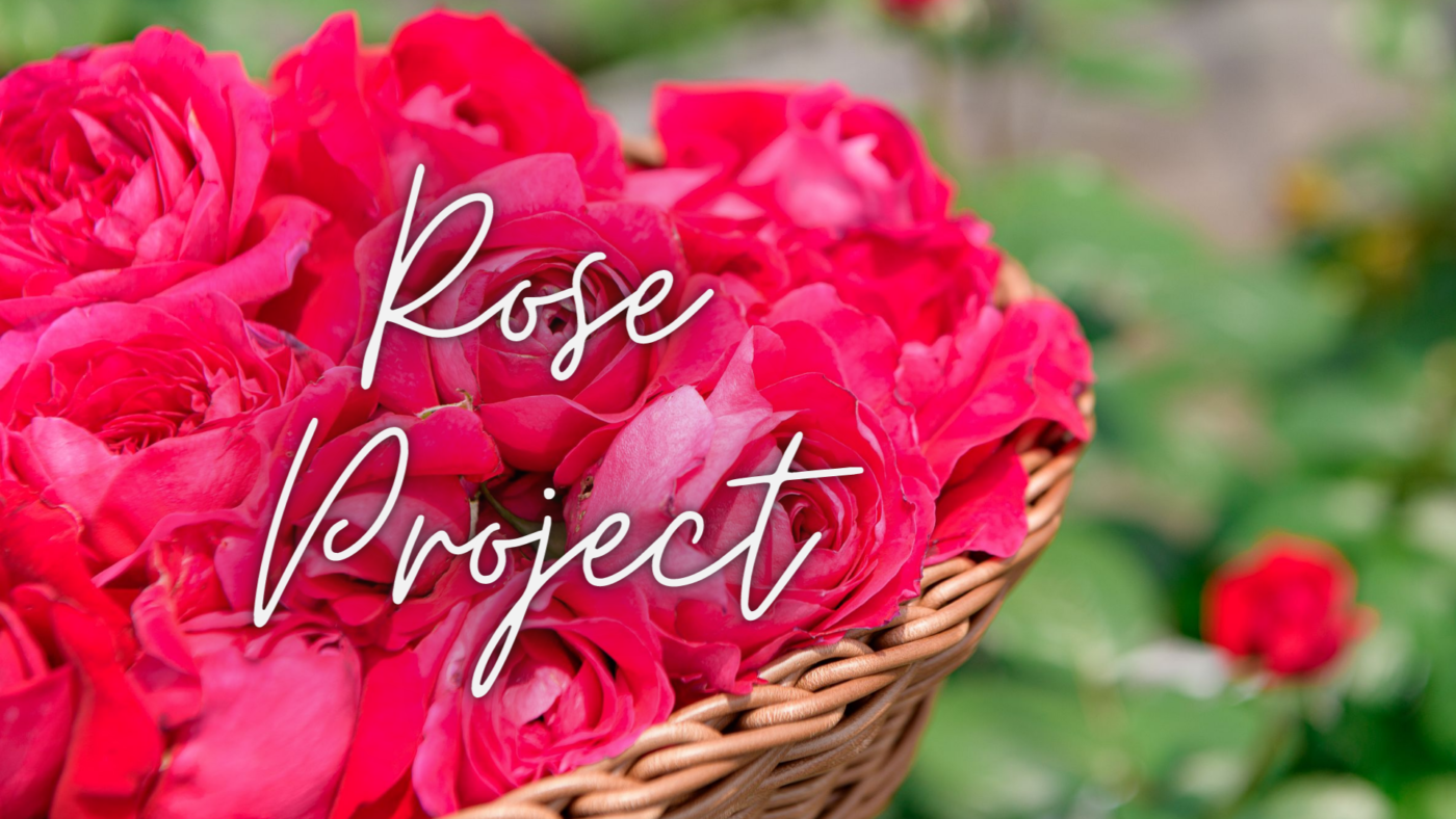 Rose Cheekの「参加プロジェクト」 | Rose Cheek